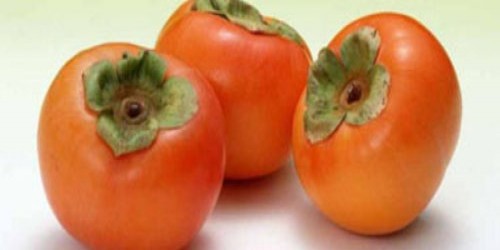 Xurma haqqında bilmədikləriniz